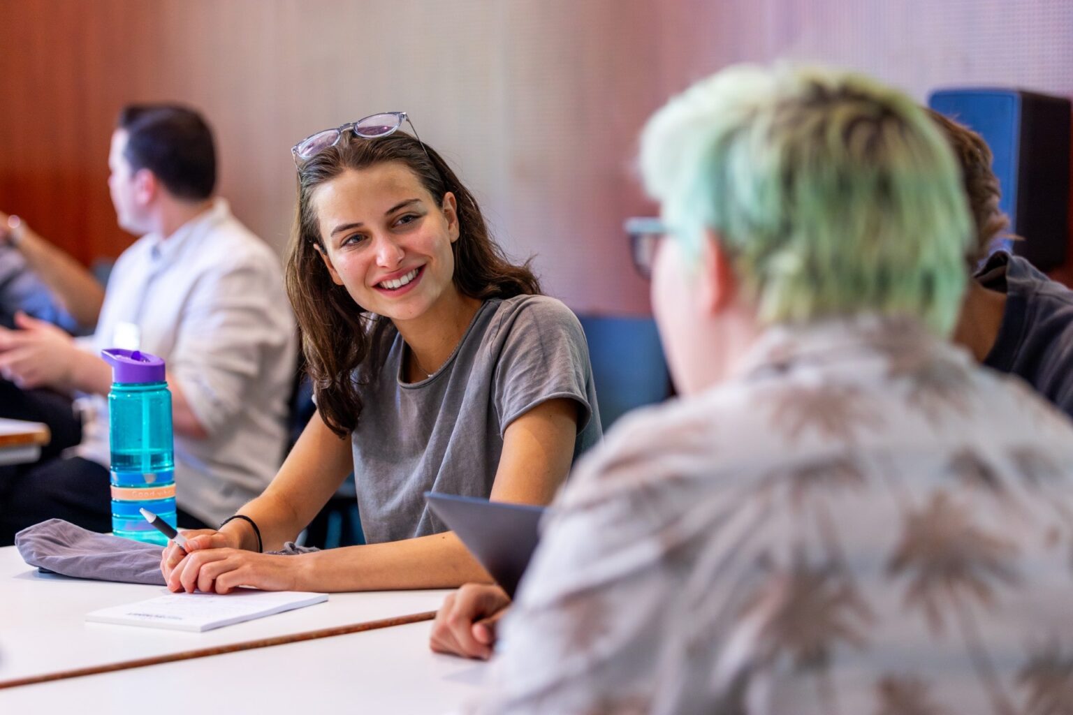 Summer School - MedSummit